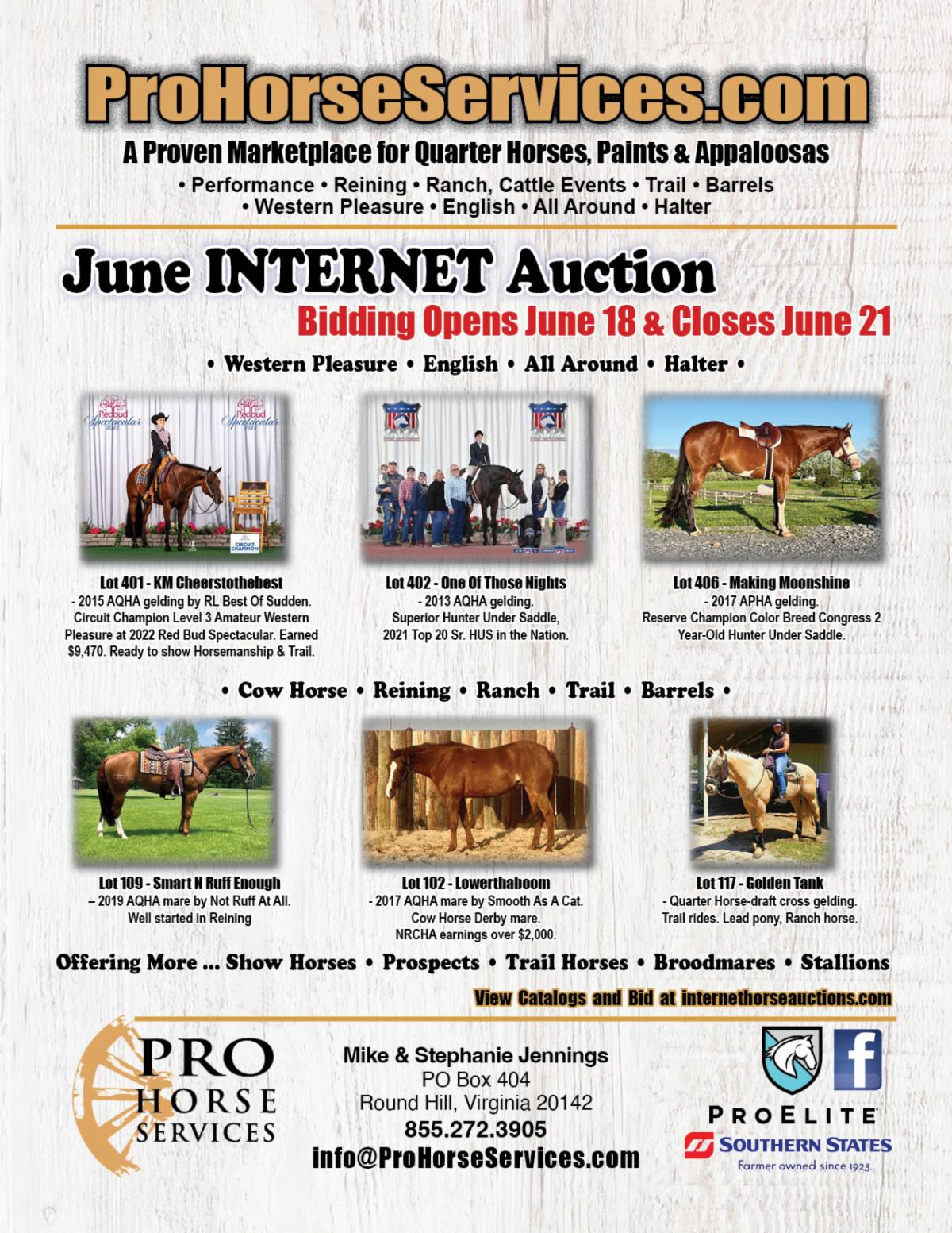 Shop over 40 Horses to Ride or Show in June Internet Auction!