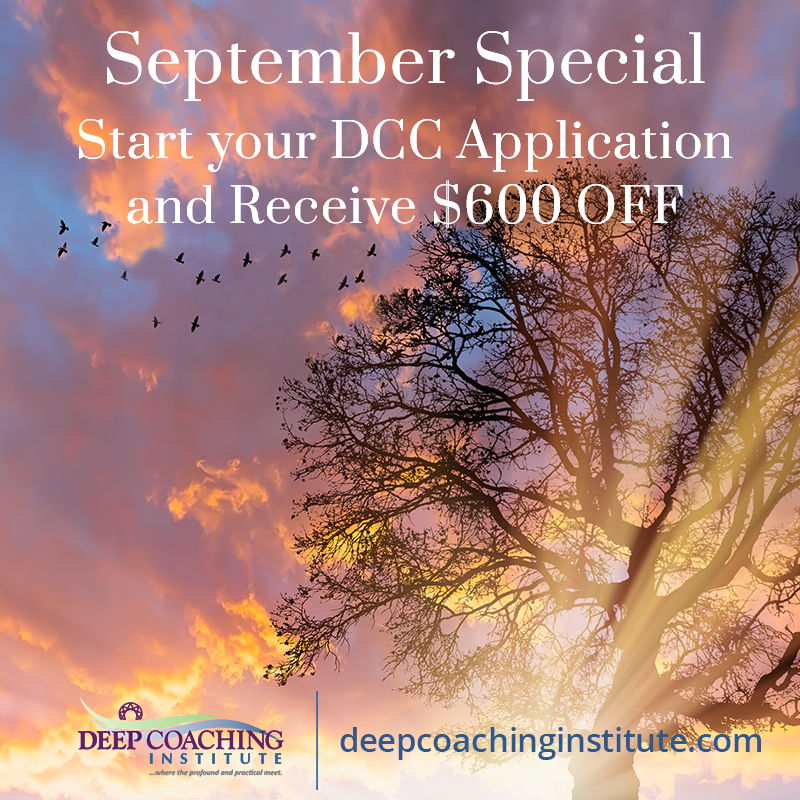 September 2021 News from DCI