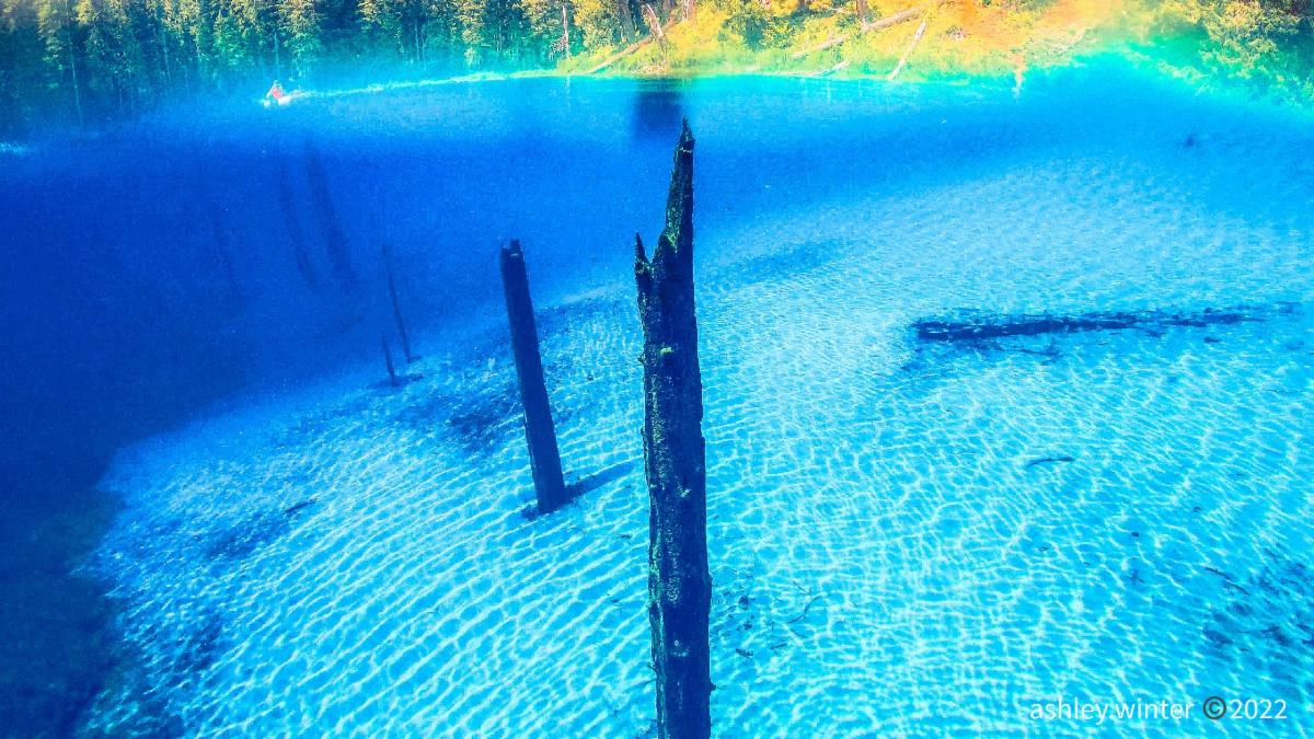 Remembering Anne Garrels of NPR