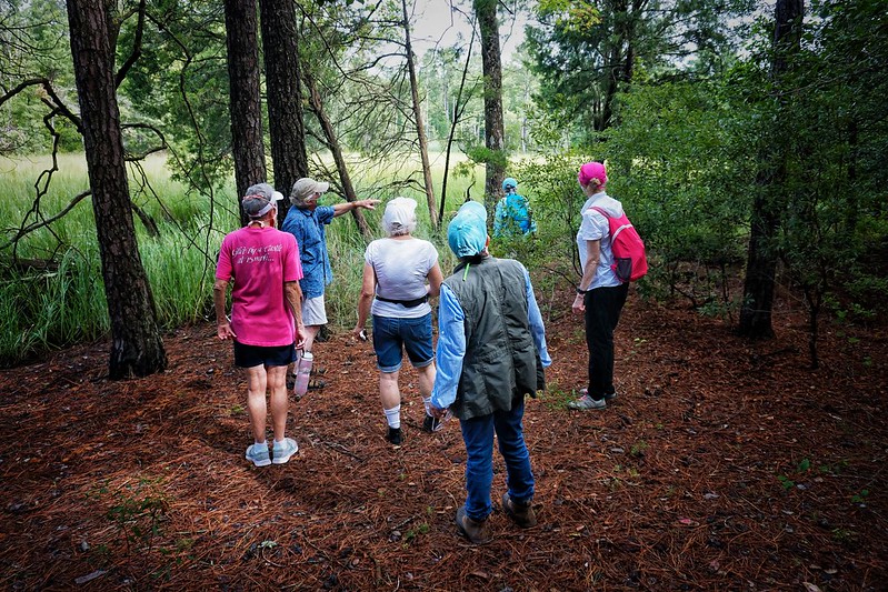 March in Virginia State Parks