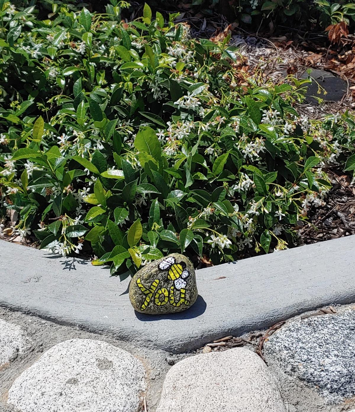 Healthy RC Steering Committee Newsletter - May 2020