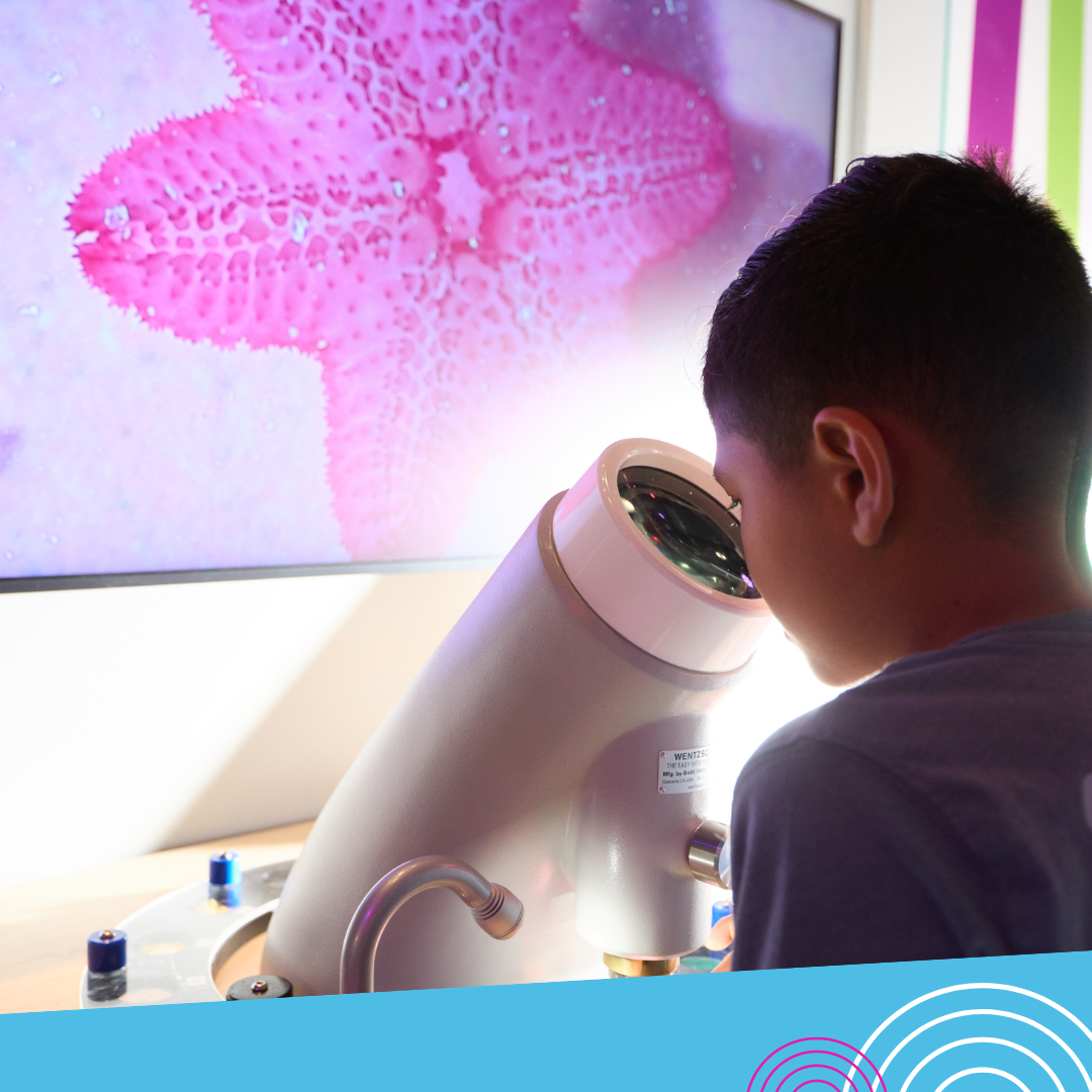 Discover, Explore, Imagine