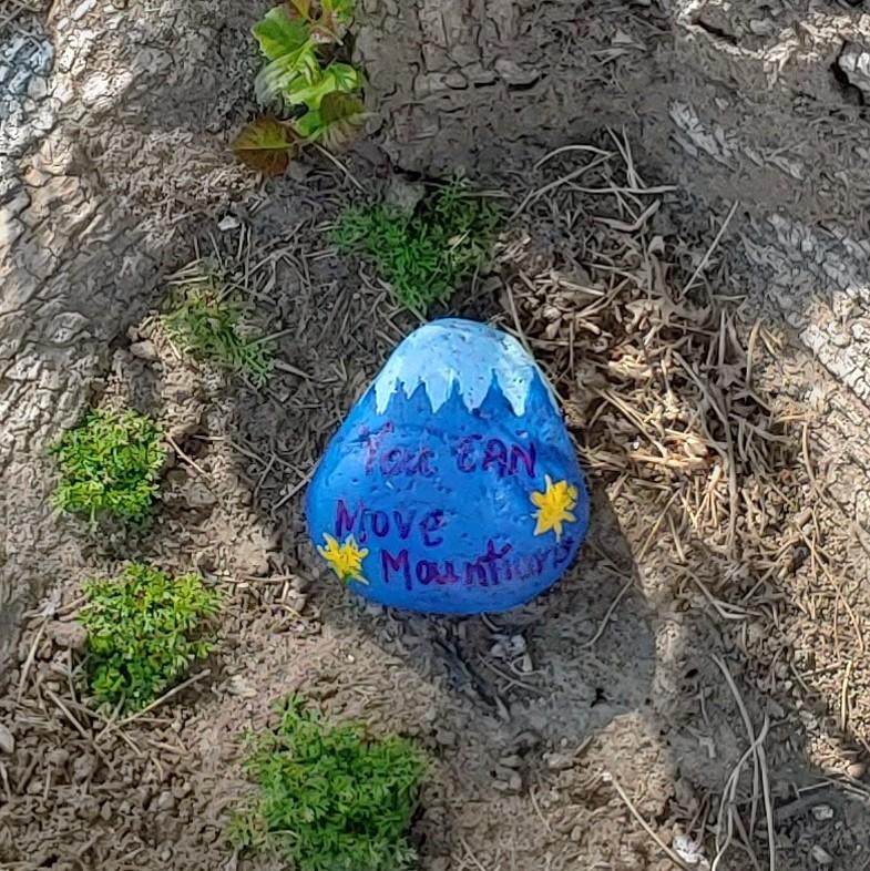 Healthy RC Steering Committee Newsletter - May 2020