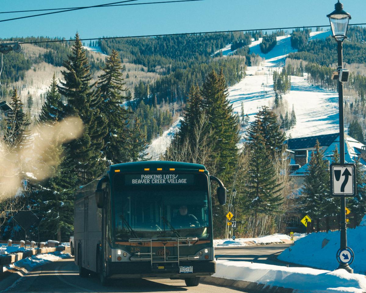 This Week @ Beaver Creek: December 16 | Issue #152