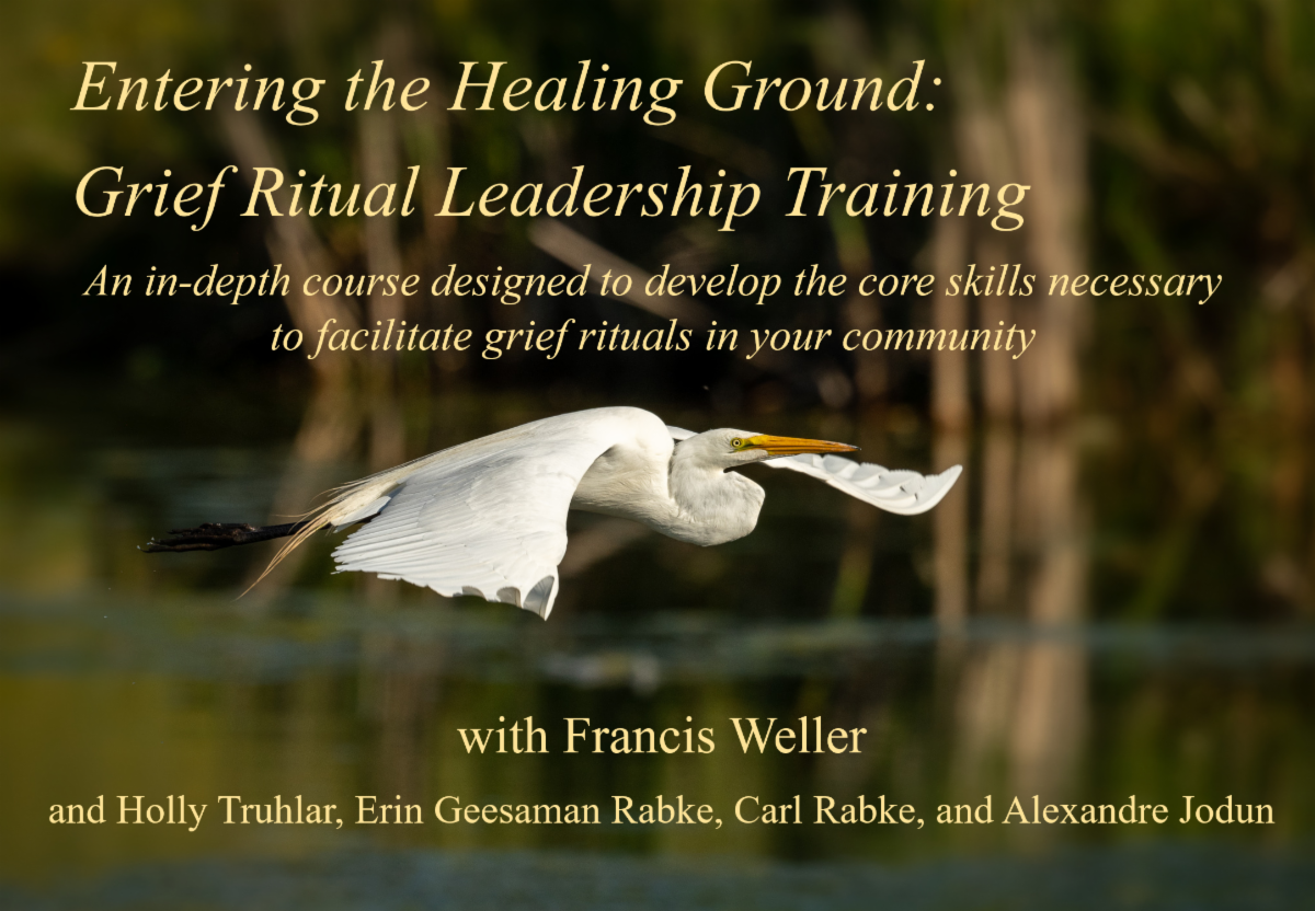 Francis Weller's Newsletter