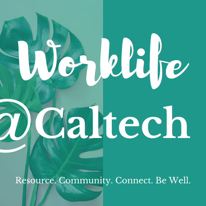 Worklife Newsletter: *Special Edition* Issue 240