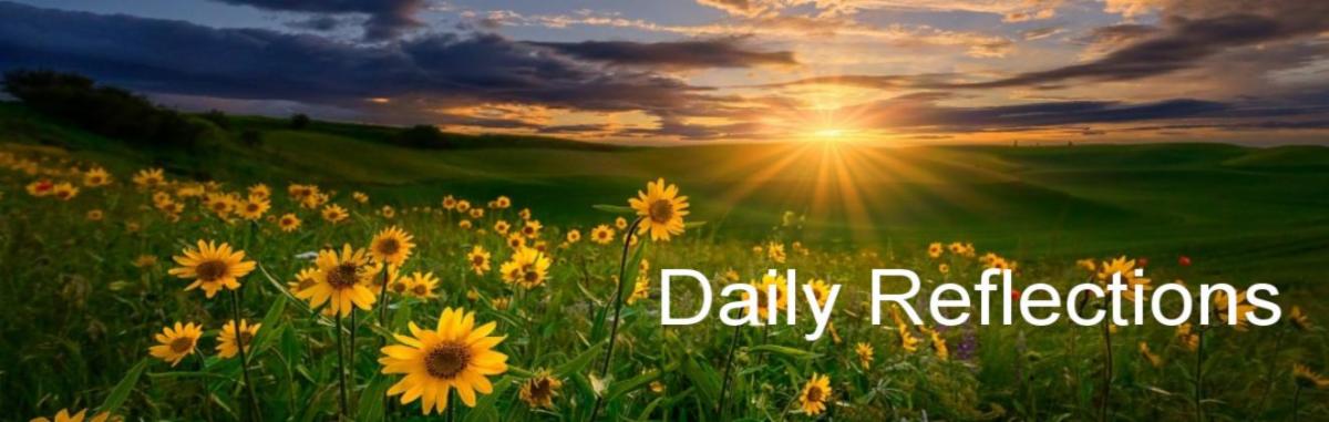 Reflections 2025-07-26