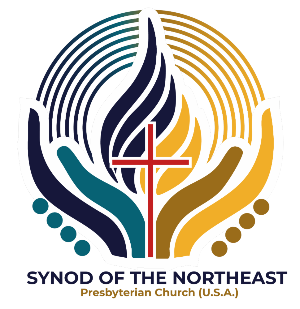 What's Happening Around the Synod