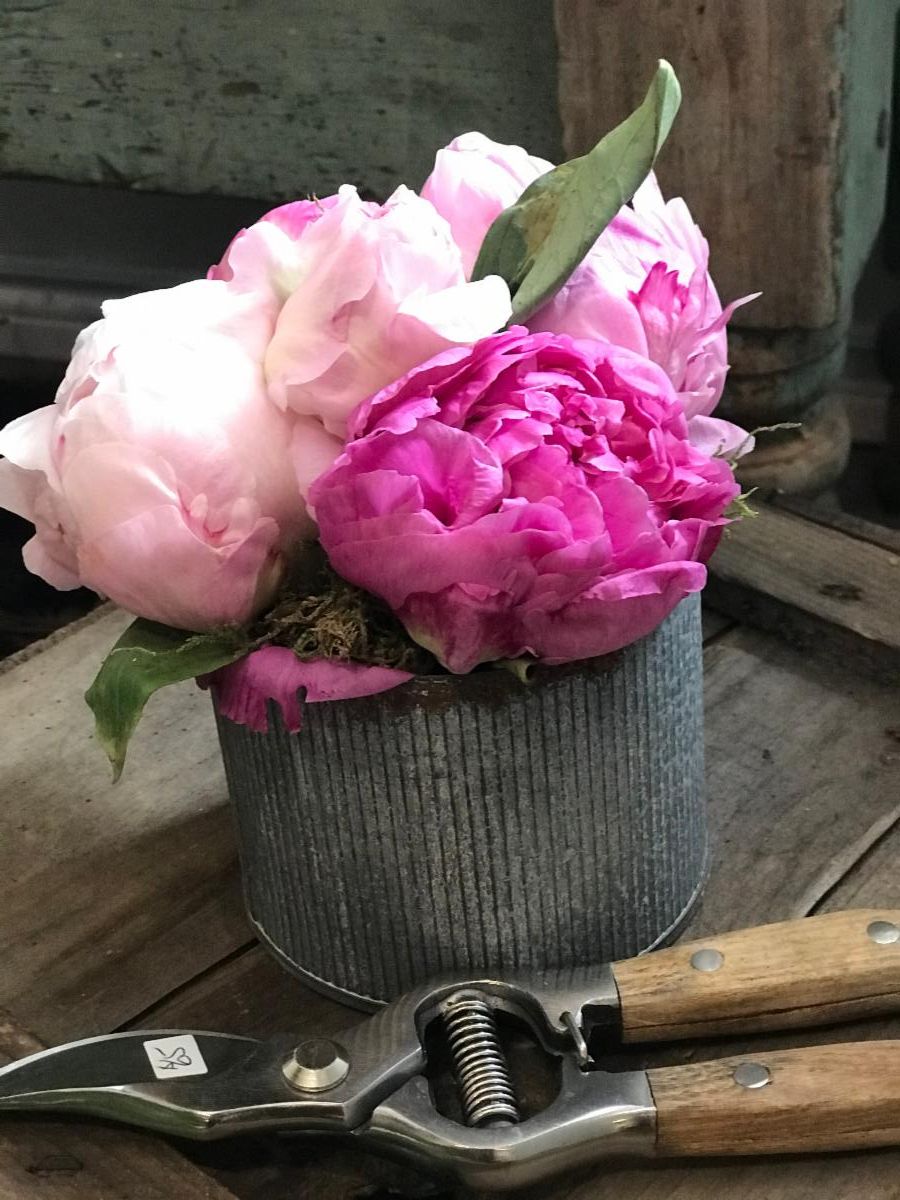 A PEONY FESTIVAL