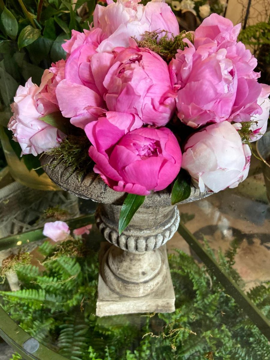 A PEONY FESTIVAL