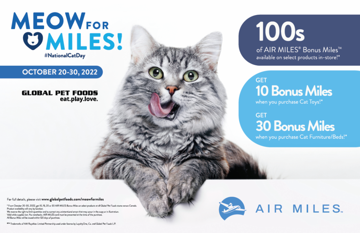 Sales & Marketing Update - Meow for Miles 2022