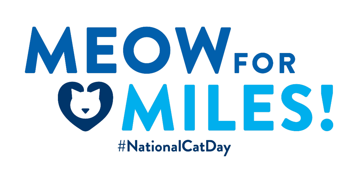 Sales & Marketing Update - Meow for Miles 2022