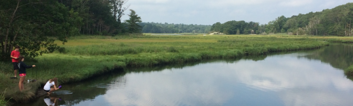 MARSH Madness is Back!