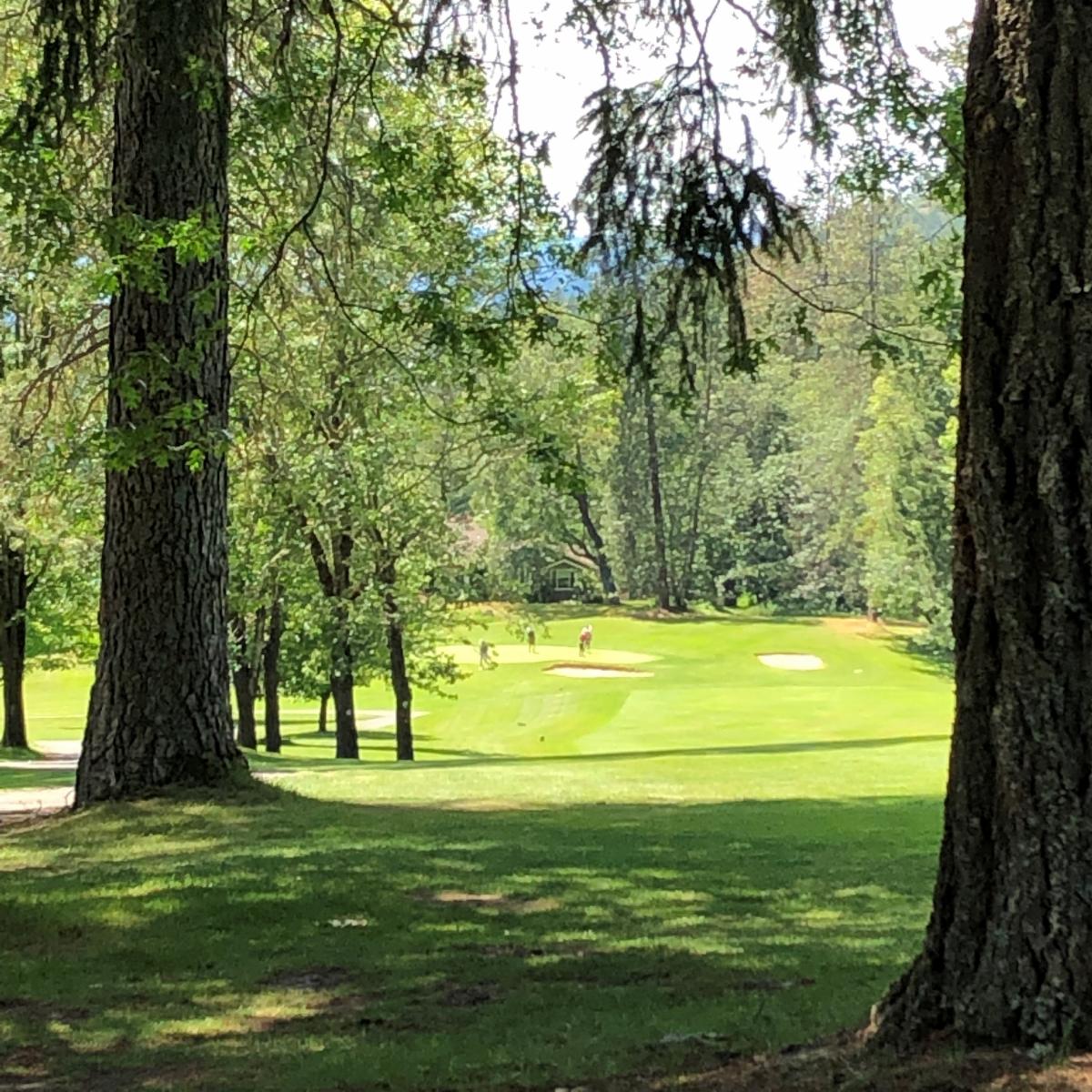 GPGC Weekly Memo