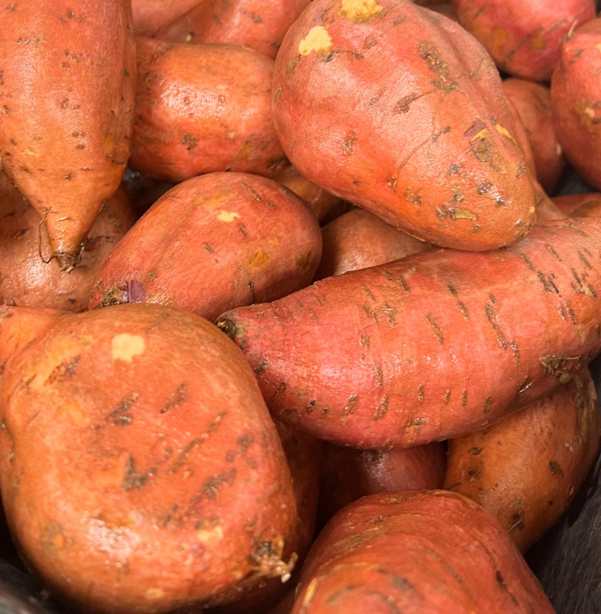 Updates For Alabama Fruit & Vegetable Growers