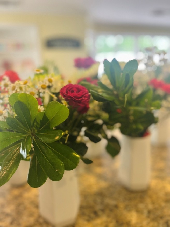 A Look Back at April 2025 | Everyday Enrichment from Arborview