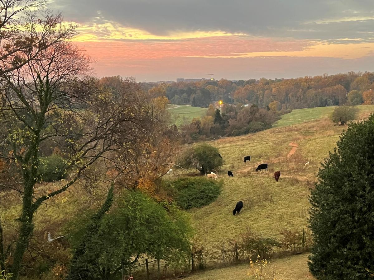 The Latest News for You from Arbor Acres