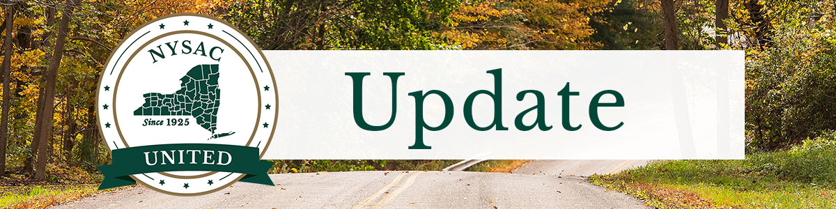 One-House Budgets County Impact Report