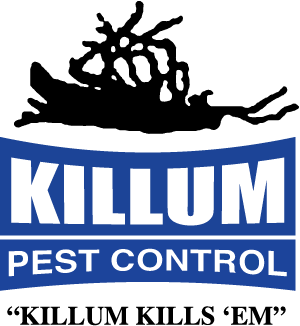 Have a Safe and Happy 4th!