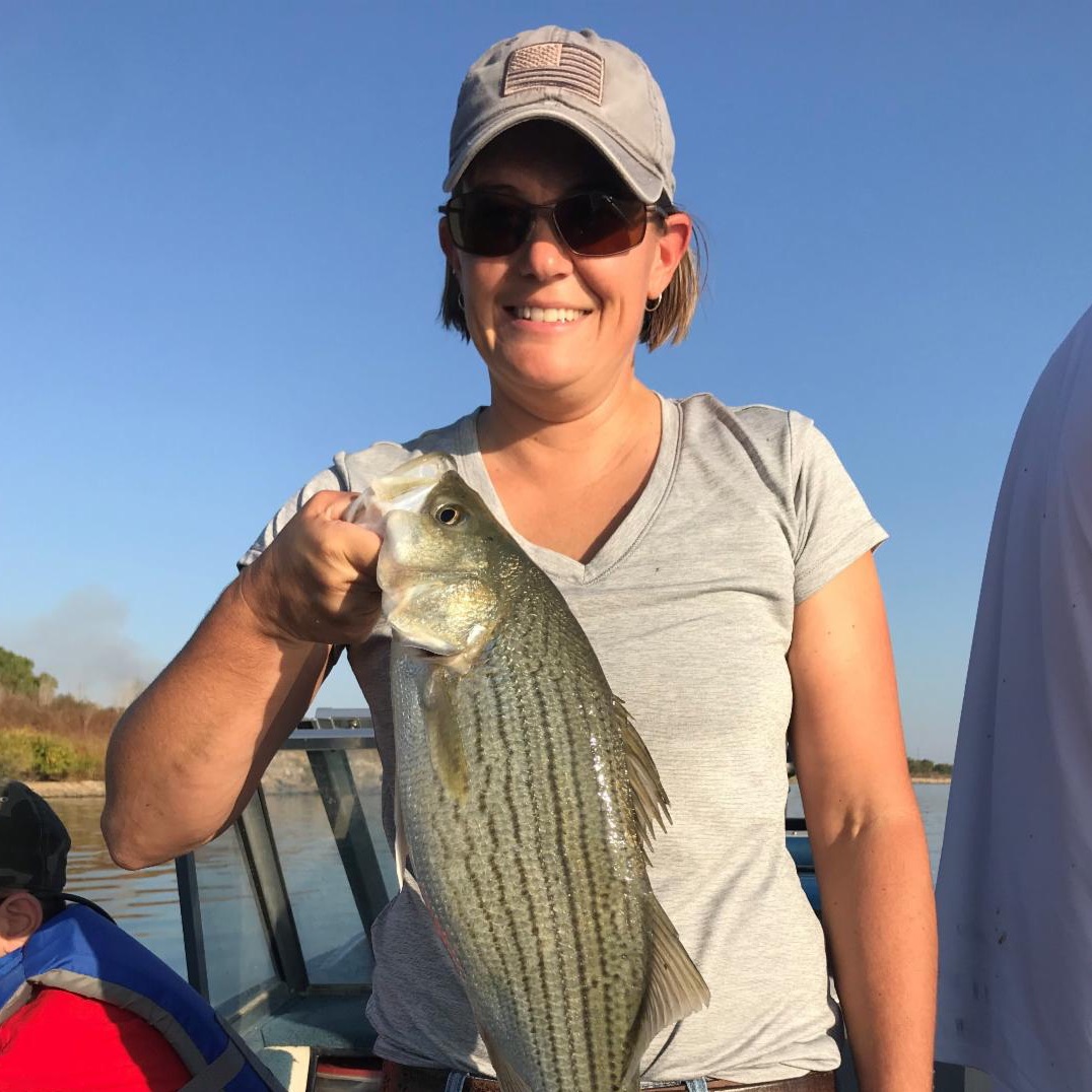 Check out these updates from KACD - July 2023