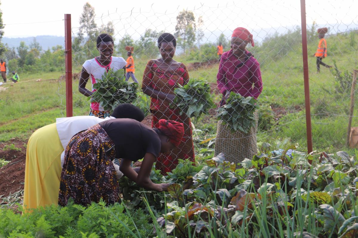 Defeating Malnutrition in Rwanda