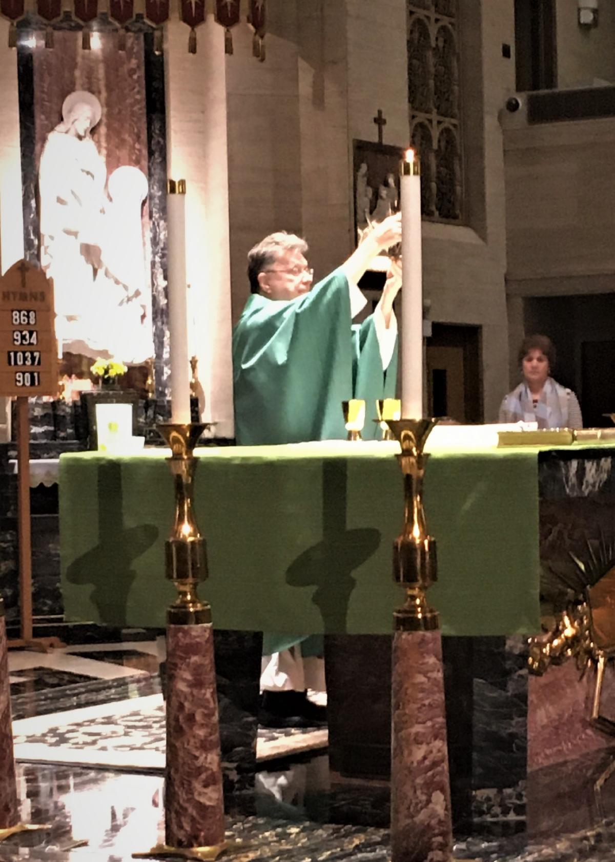 See What's Happening at the Shrine