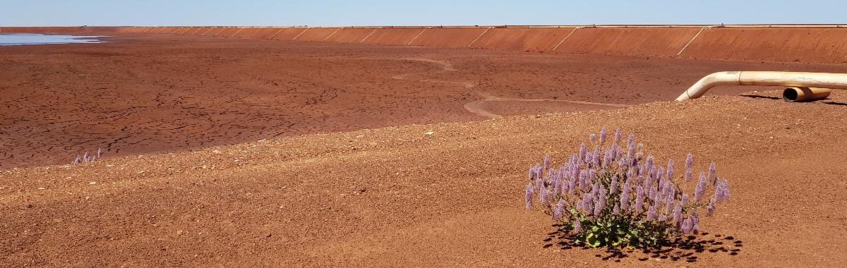 ANCOLD Guidelines on Tailings Dams update - Workshop Recording & Survey