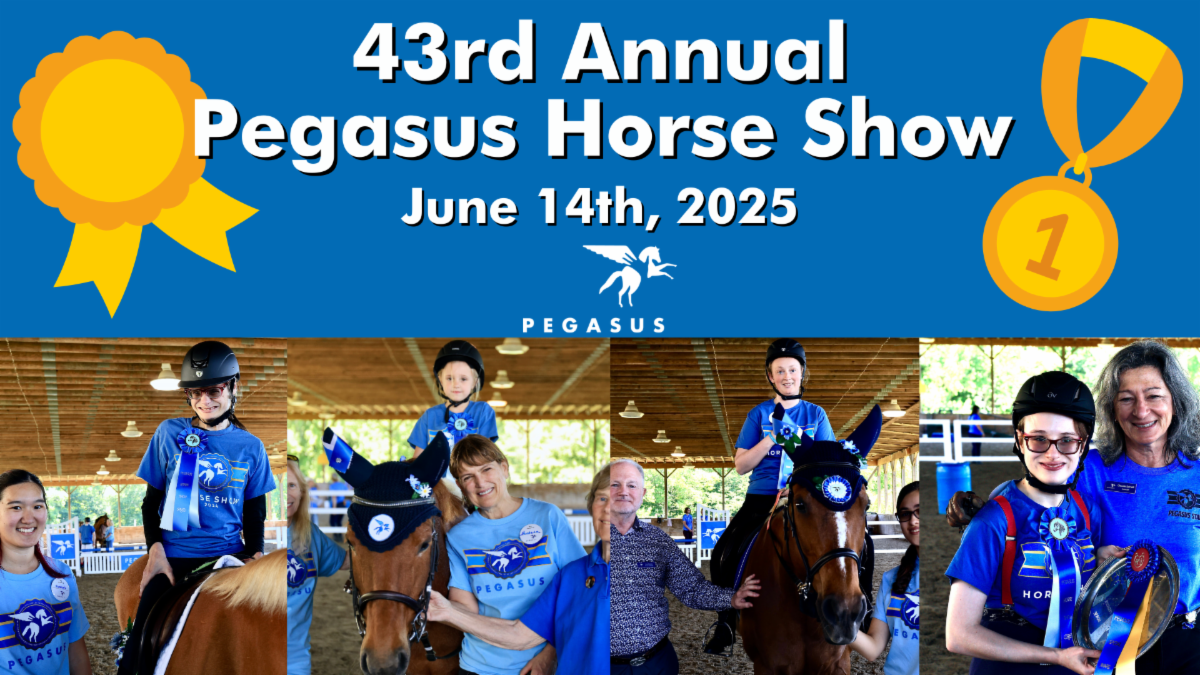 43rd Annual Pegasus Horse Show!