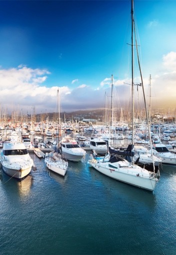 Seas the Season: Fall Fun & Harbor Know-How