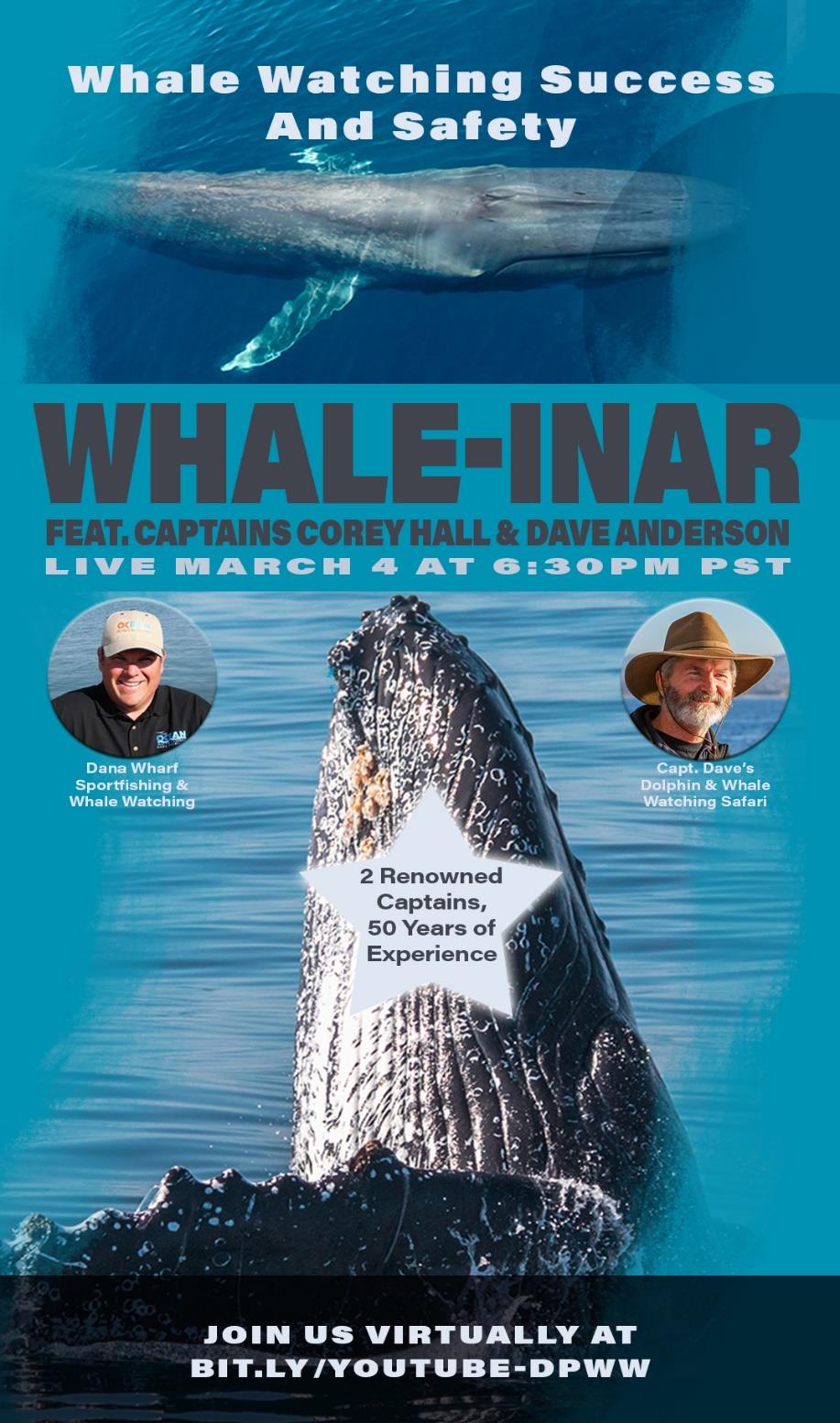 Whale Watching Success & Safety Whale-inar, New DPBA Advisor
