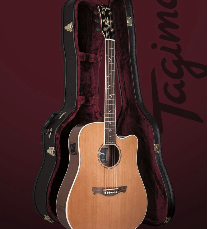 Juninho Afram Signature Acoustic Guitar