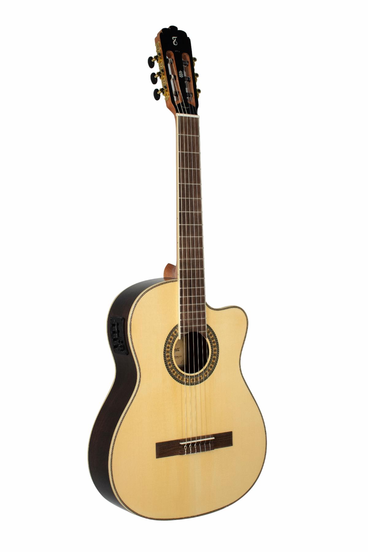 End-of-Life for Tagima WS Acoustic Guitars With Electronics! $99.99 Each