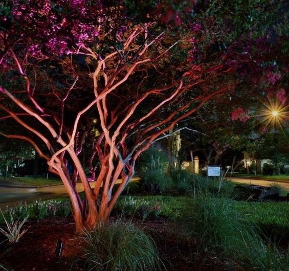 Champion Forest HOA August Update