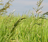 Agent Update | New Training Opportunities; Getting the Most Out of ECO ...