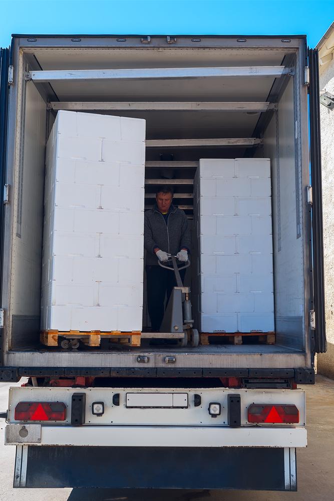 Grocery Express is Here!