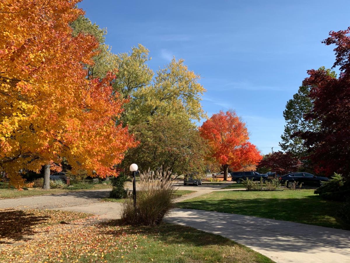 Lathrup Village eNewsletter - November 14, 2022