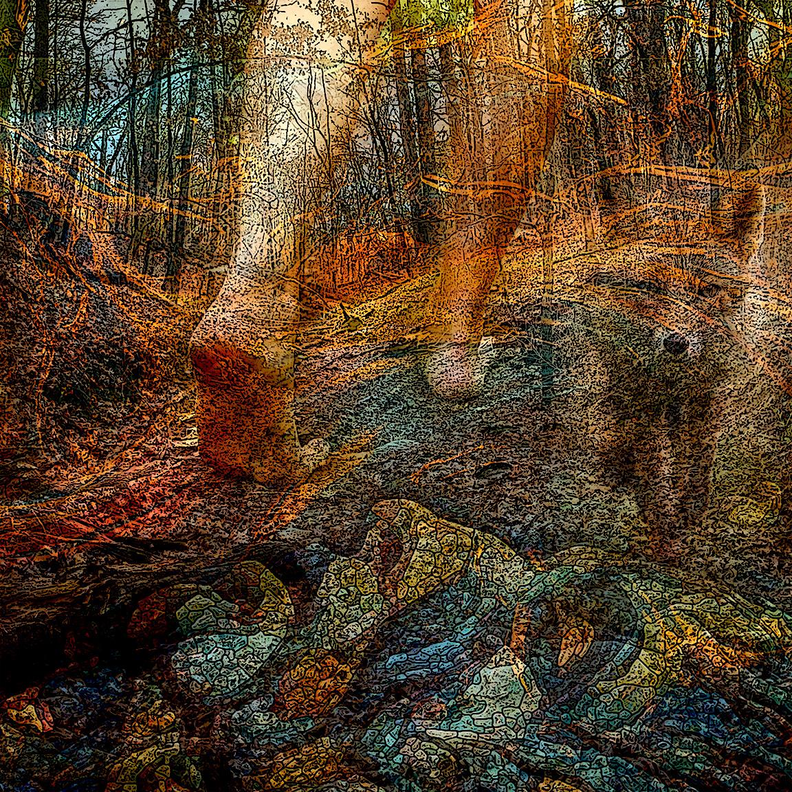 Sometimes, SM298: David Whyte Soulcraft Musing