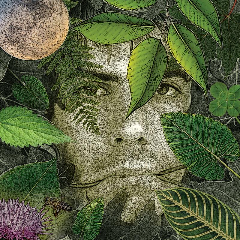 Thomas Berry and the Evocation of Participatory Consciousness, Part I ...