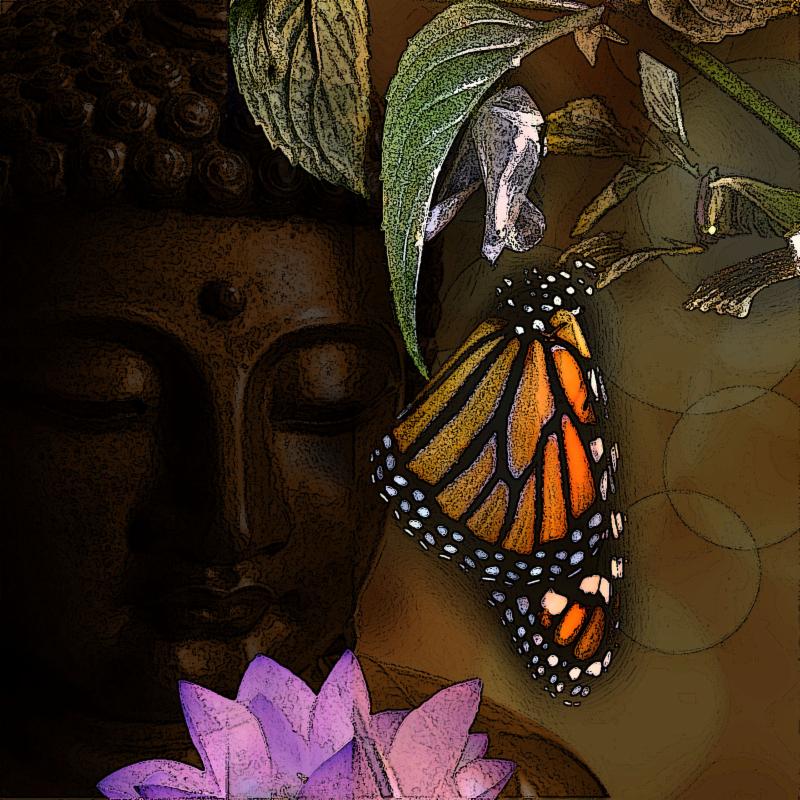 Soul Encounter and Eco-Awakening, Part XVII, SM285: Bill Plotkin ...