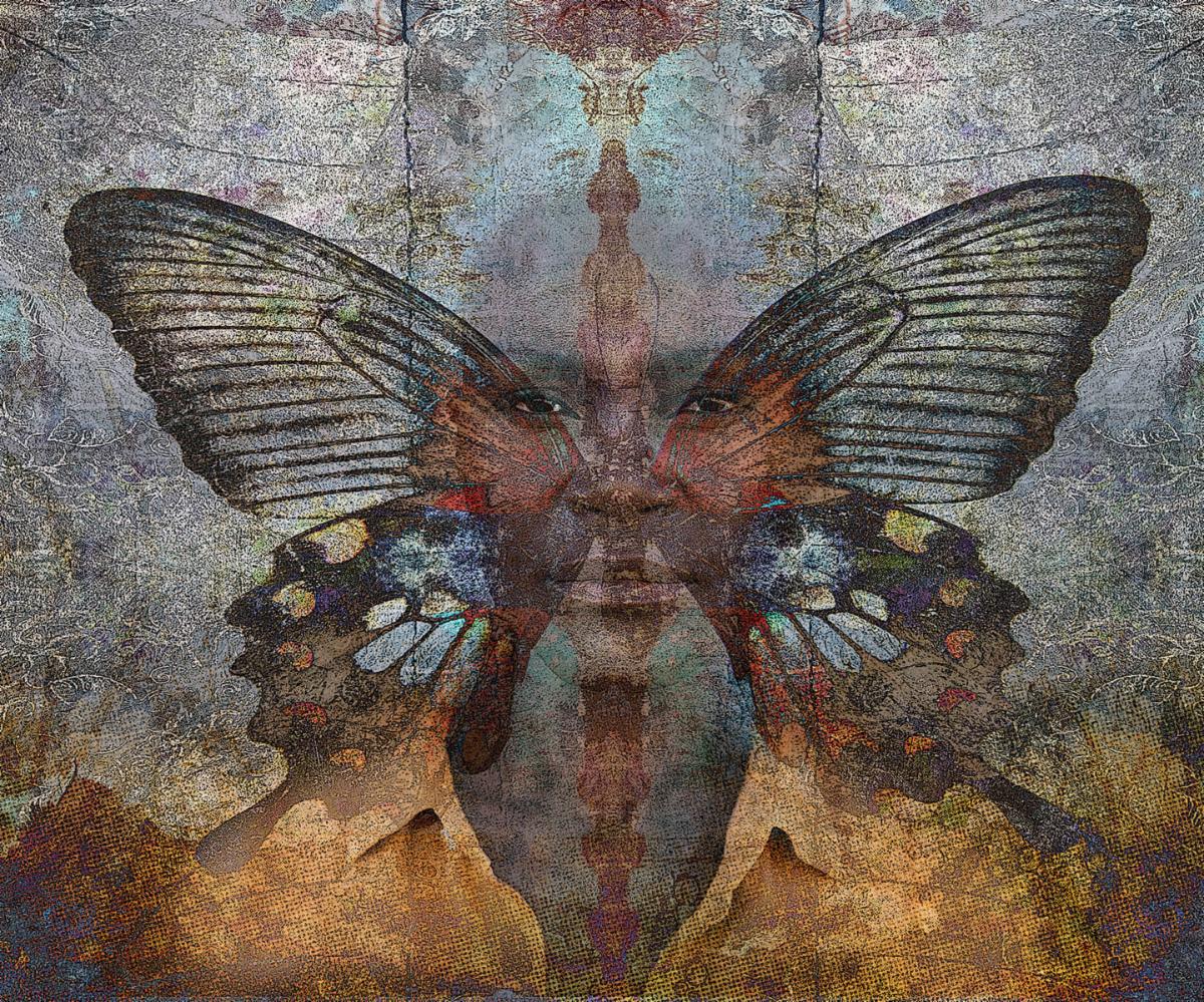Awakening to the Dream of the Earth, Part V, SM246: Bill Plotkin ...