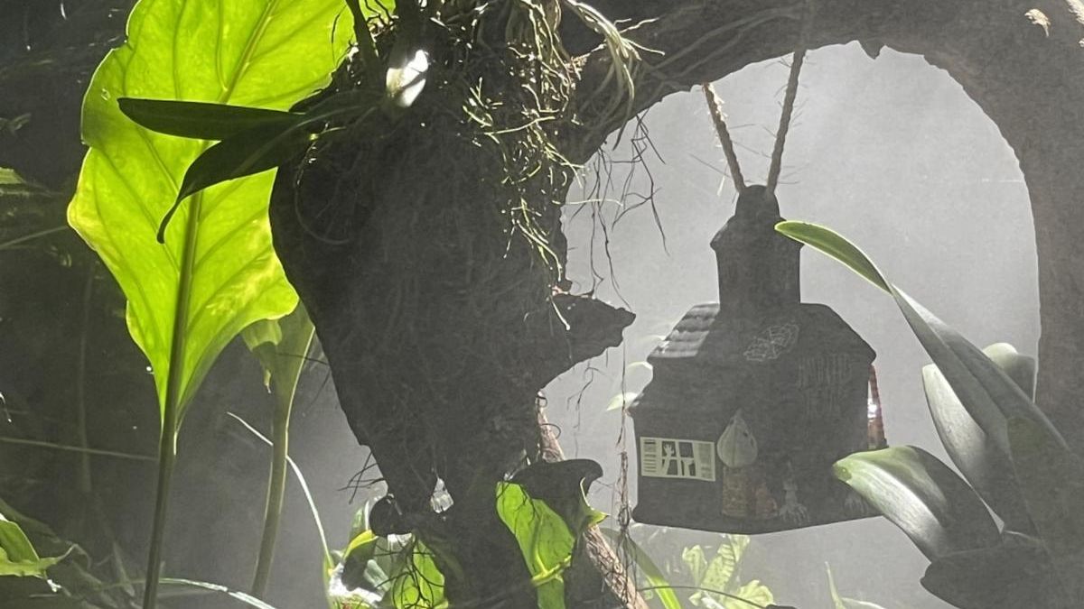 The latest news for you: National Night Out, The return of Why Coral ...