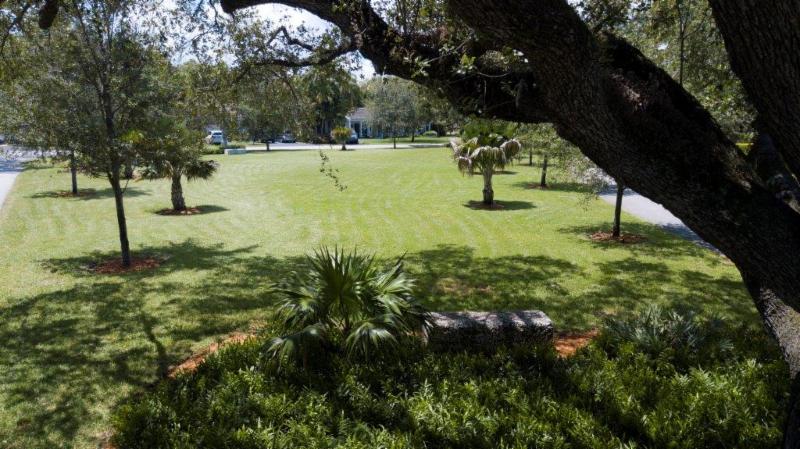 New passive parks are beautifying your neighborhood, We're looking for ...