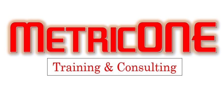 Happy Holidays from Metric One Training and Consulting