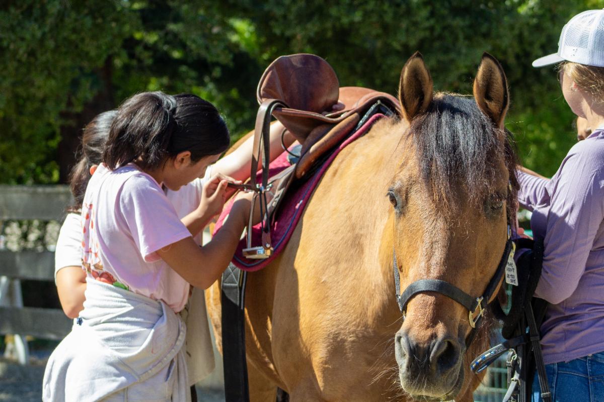 Stable Talk Newsletter... The latest news from NCEFT + Save the Date!