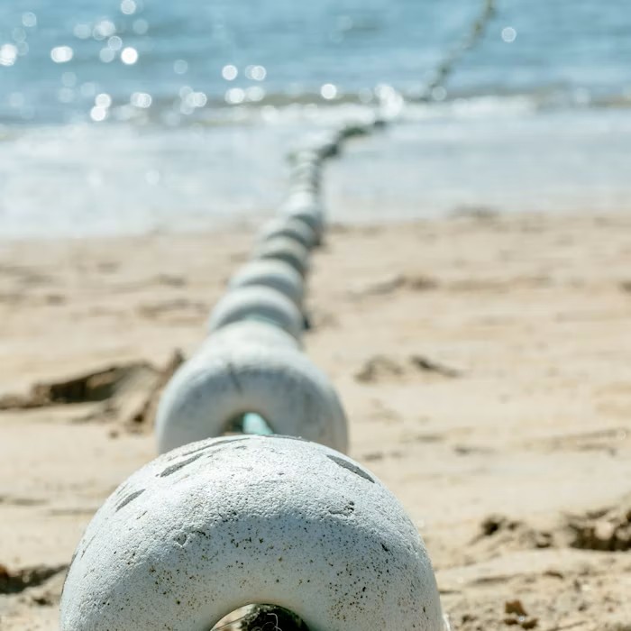 June 2025 Town Manager's Newsletter