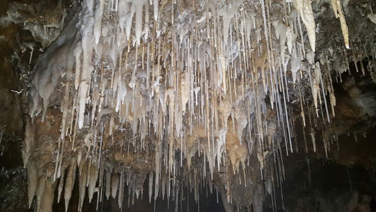 Explore the amazing Black Chasm Caverns!