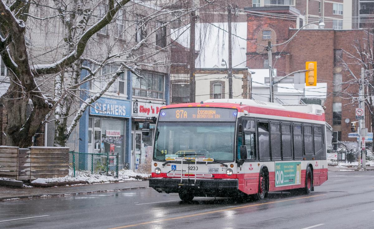 MyTTC | Weekly - Issue No. 101