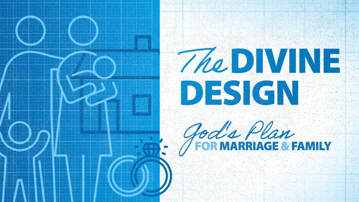 The Divine Design Bible Study