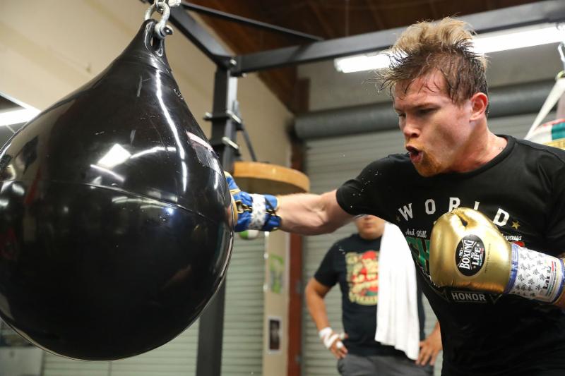 CANELO ALVAREZ RELEASES HIS INTENSE WORKOUT PLAN FOR THE GGG REMATCH ...