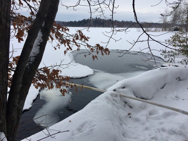 Lake Shamineau LID News